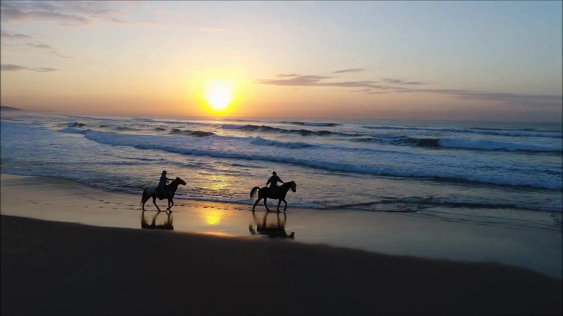 Beach rides – Garys Beach Rides