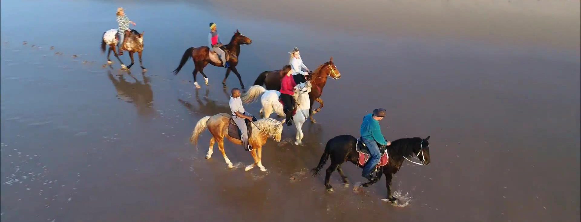 Beach rides – Garys Beach Rides